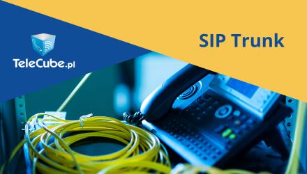 SIPTrunk | TeleCube WIKI
